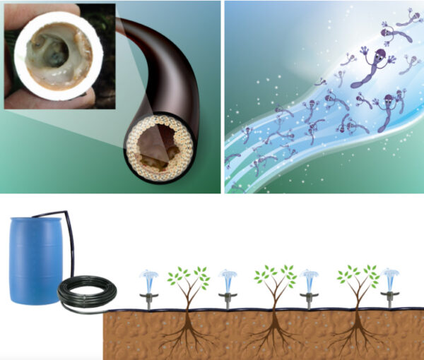 BioFilm Buster Pro Landing | Unleash Organics