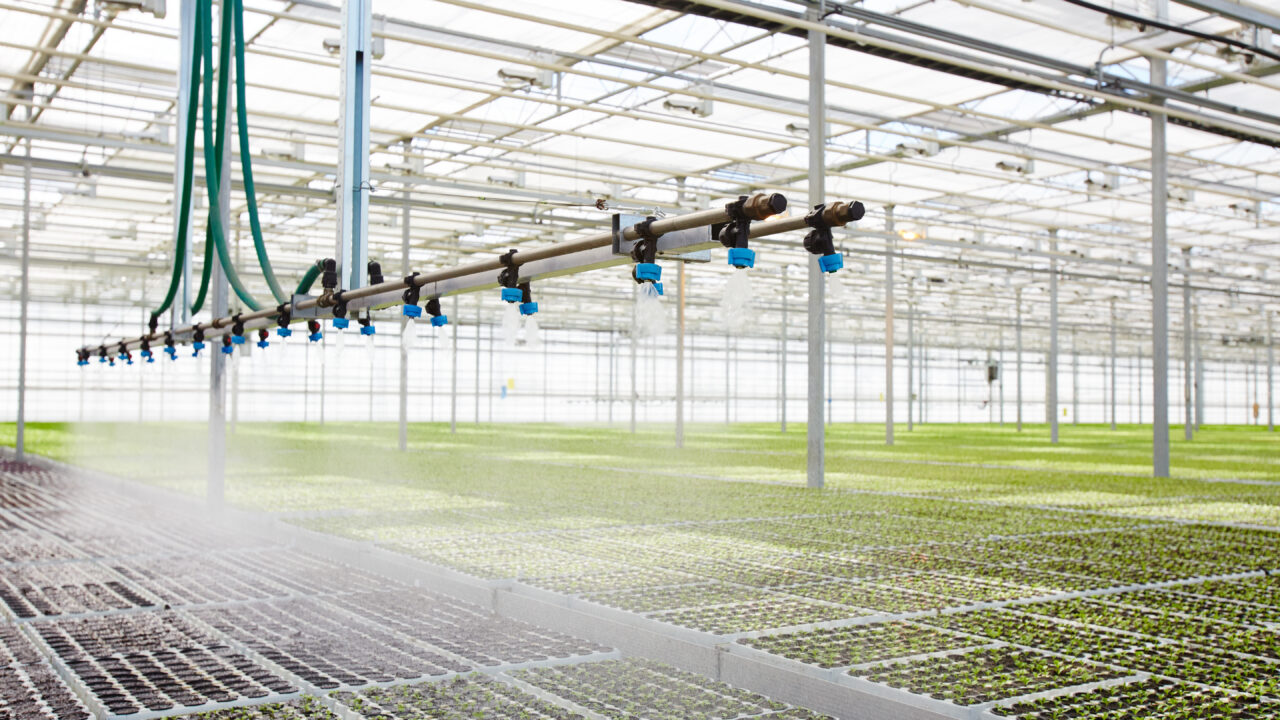 Biofilm Buster Pro - Environmentally friendly irrigation system cleaner
